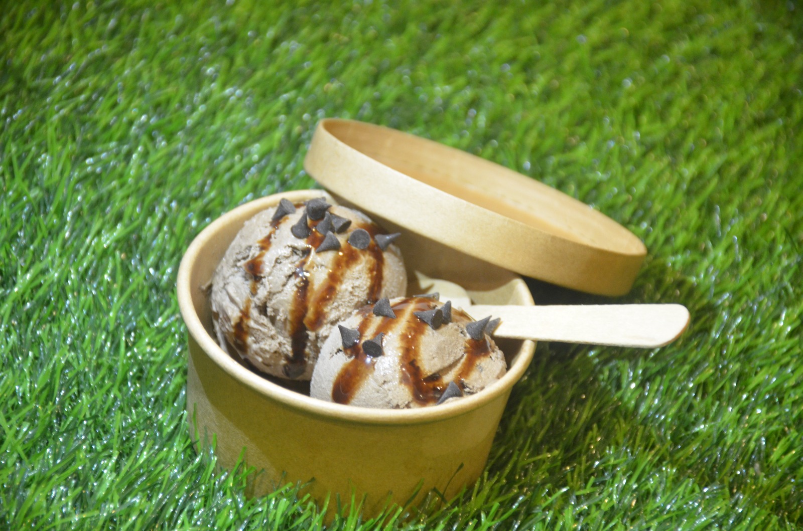 COOL COCO DAY – Get Back Healthy Generation…!